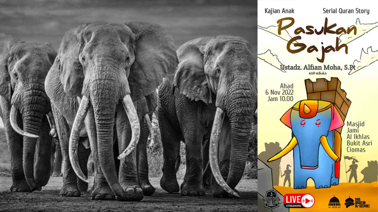 Pasukan Gajah - Uloom.id